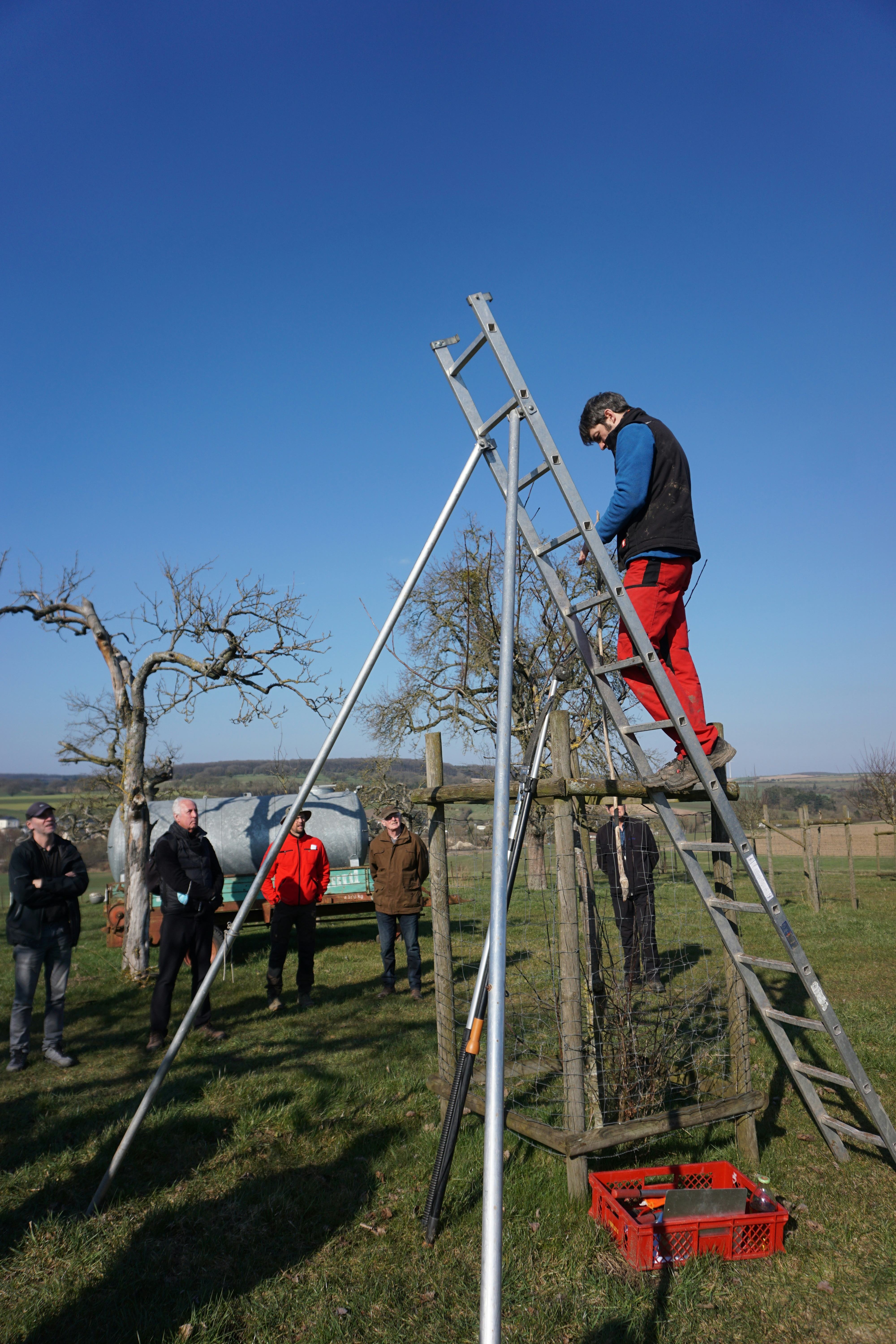 Taille de jeunes arbres fruitiers | SIAS - Syndicat intercommunal à ...